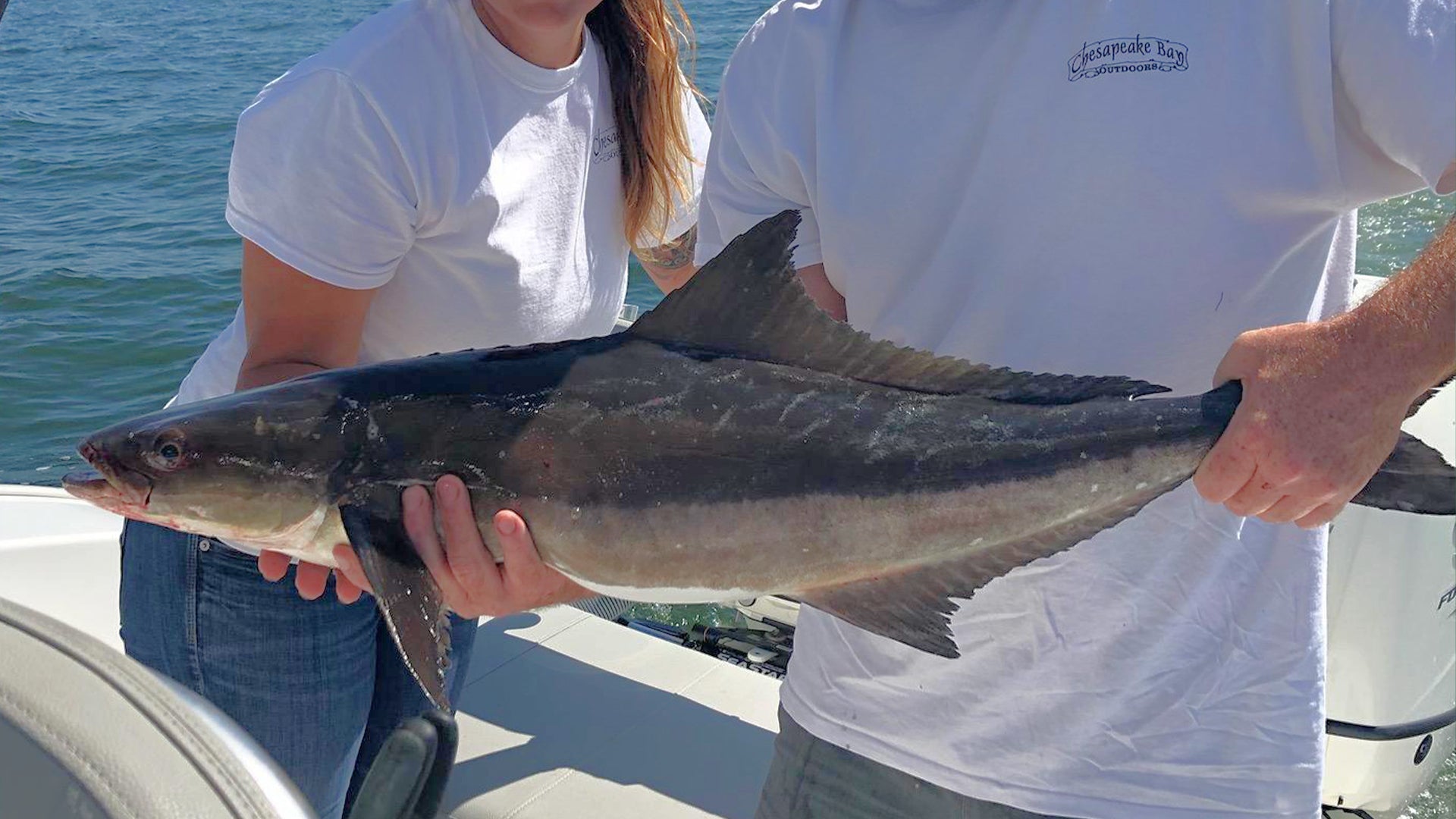 How-To: Trolling Tube Lures For Cobia, Ling, Lemonfish