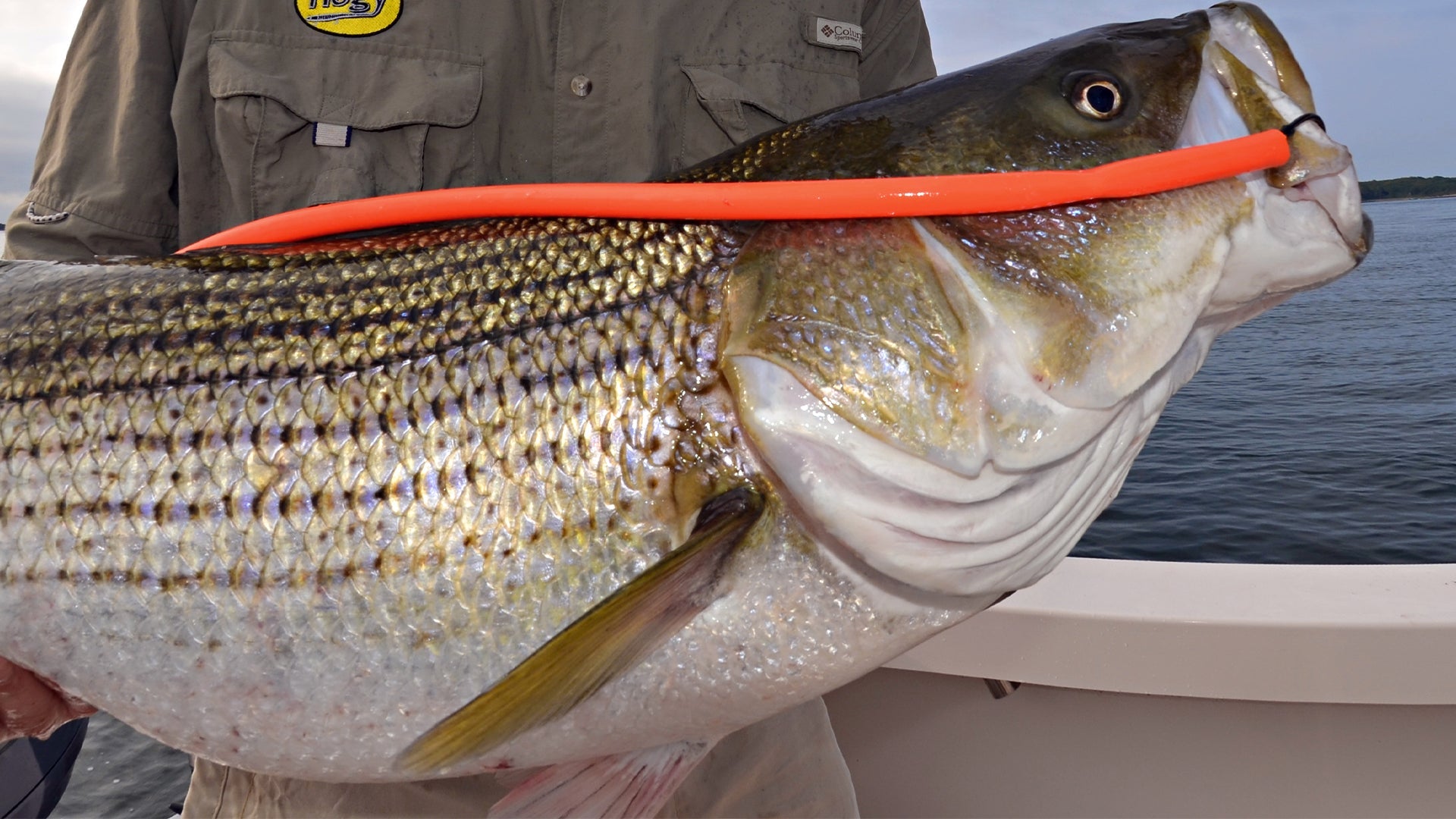 The Art of Light Tackle Tube-and-Worm Fishing