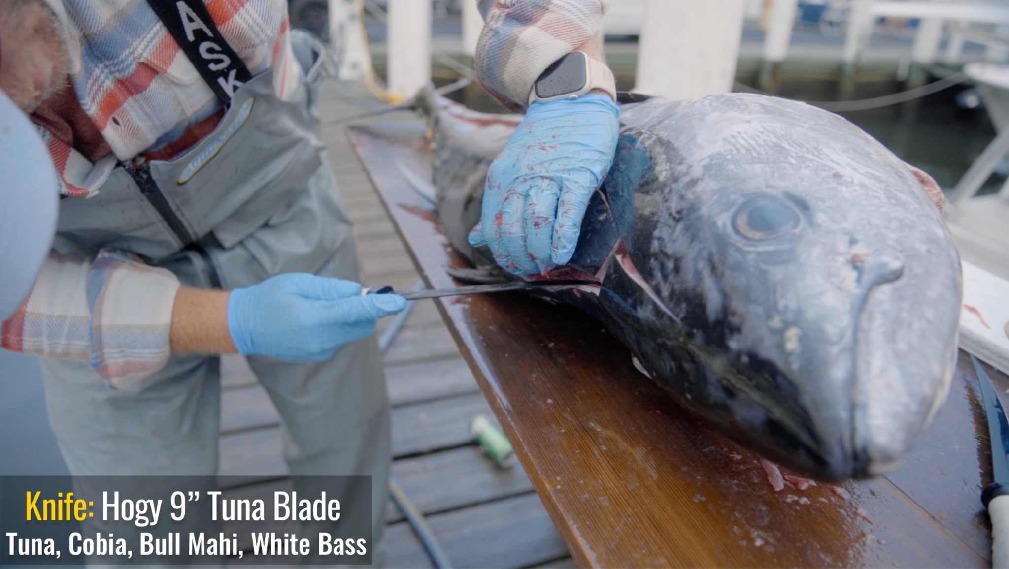 How To: Fillet a Bluefin Tuna