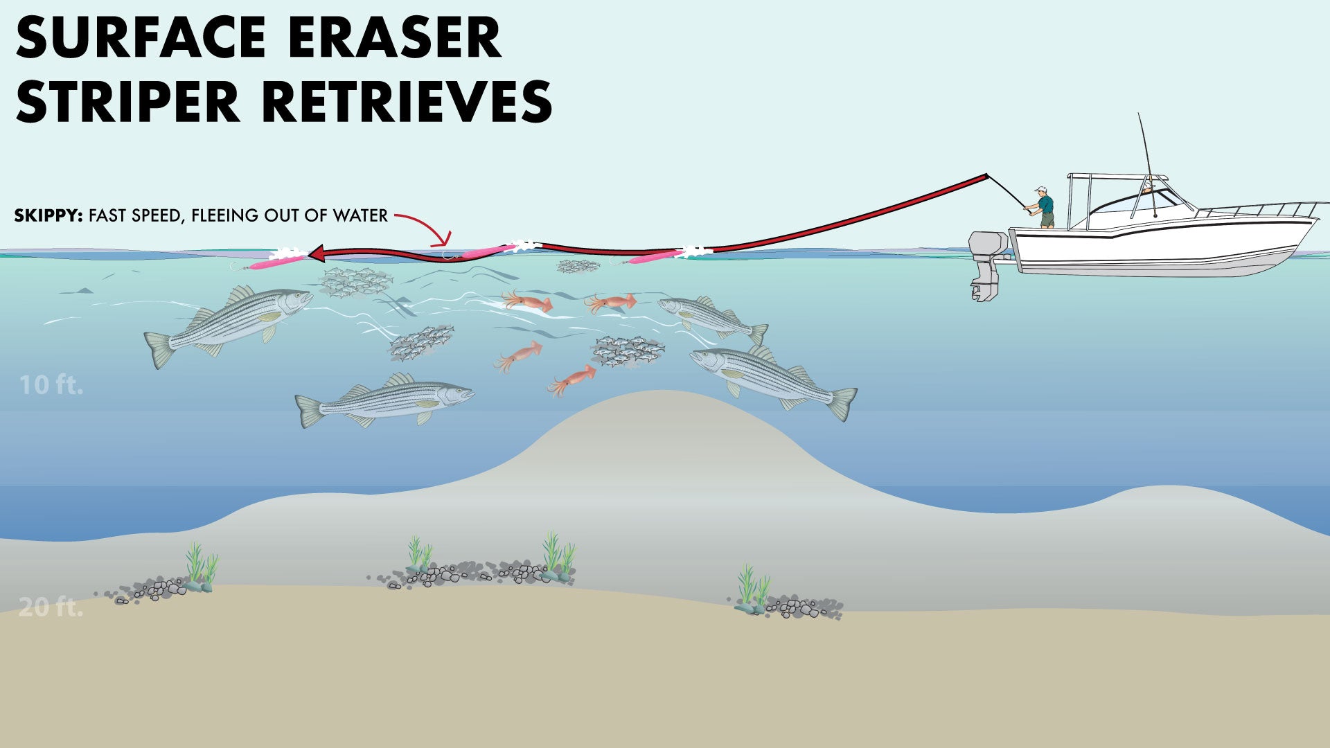 Casting SMALL Surface Plugs for Striped Bass