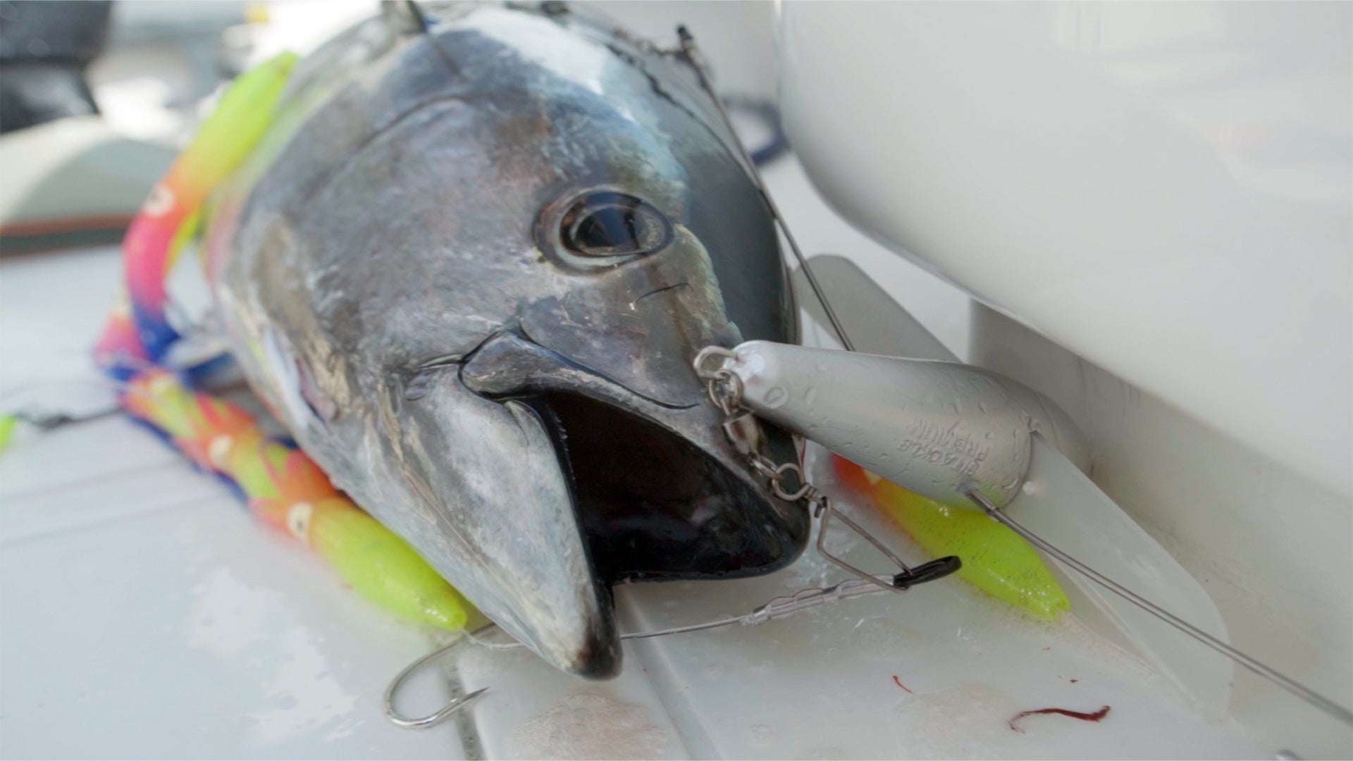 School Bluefin Tuna Trolling | Simple 4 Rod Spread | South of MV