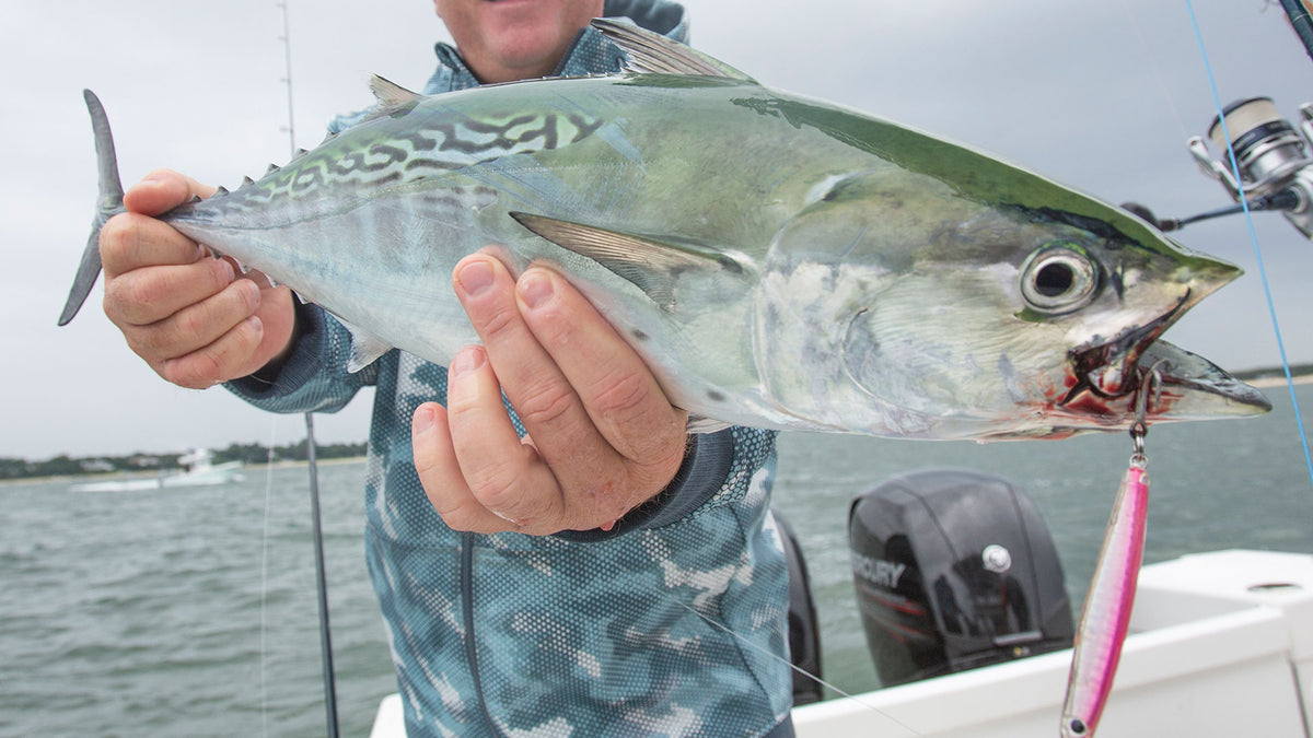 7/8oz (3.5inch) Epoxy Jig (In-Line Hook) Bundle (6pc) + Small Mesh Jig