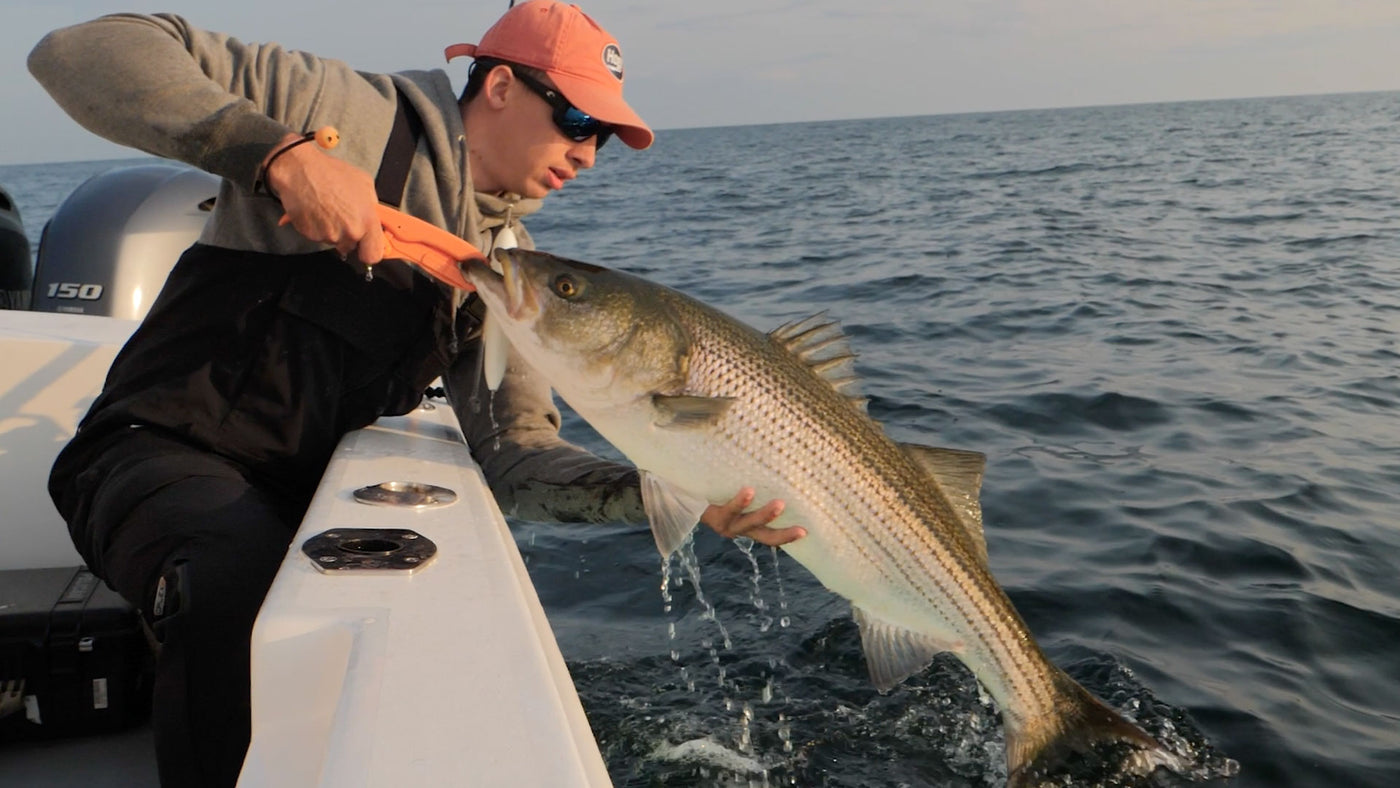 Topwater & Jig Fishing for Giant Striped Bass | Block Island