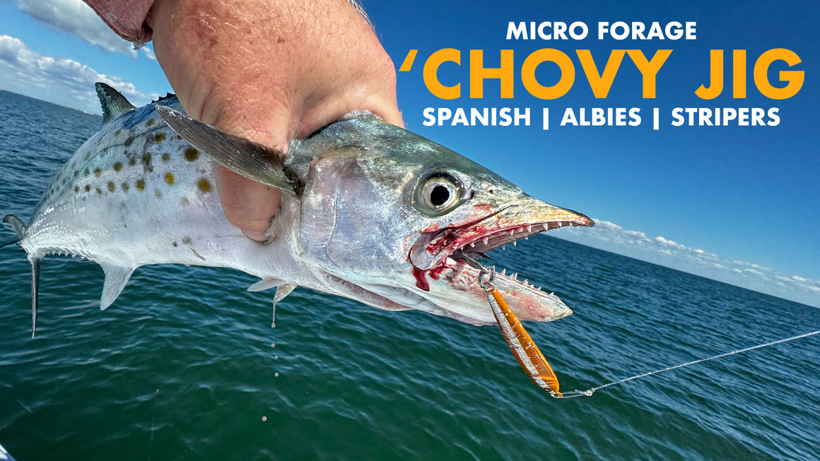 Hogy Lure Company Online Store – Hogy Lure Company Online Shop