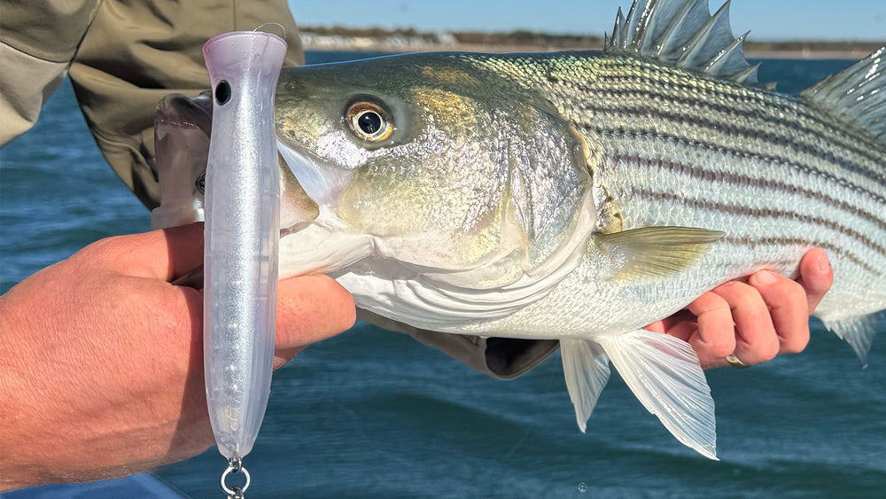 Franken Macro Chug Popper