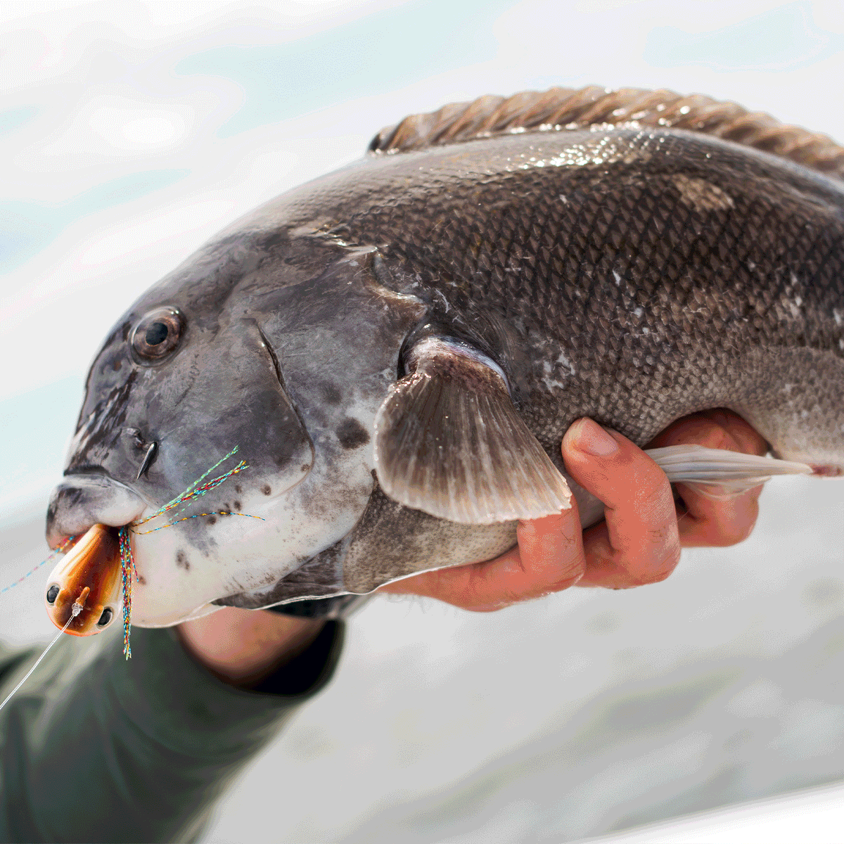 Groundfish Biki Jig