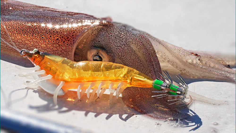 Hogy Premium Squid Jigs
