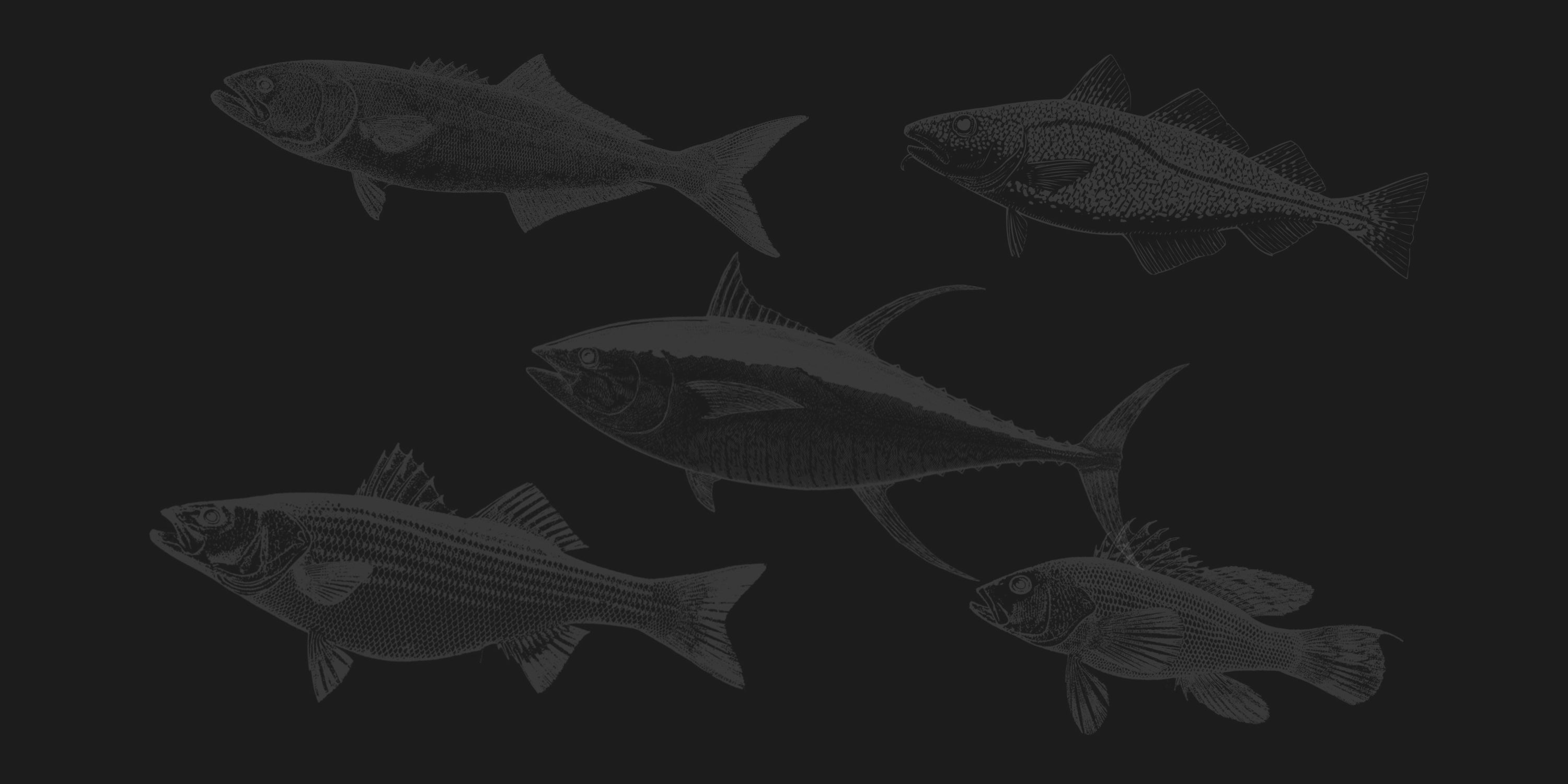 Hogy Lure Company Online Store