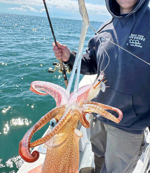 Charter Grade Squid Jigs