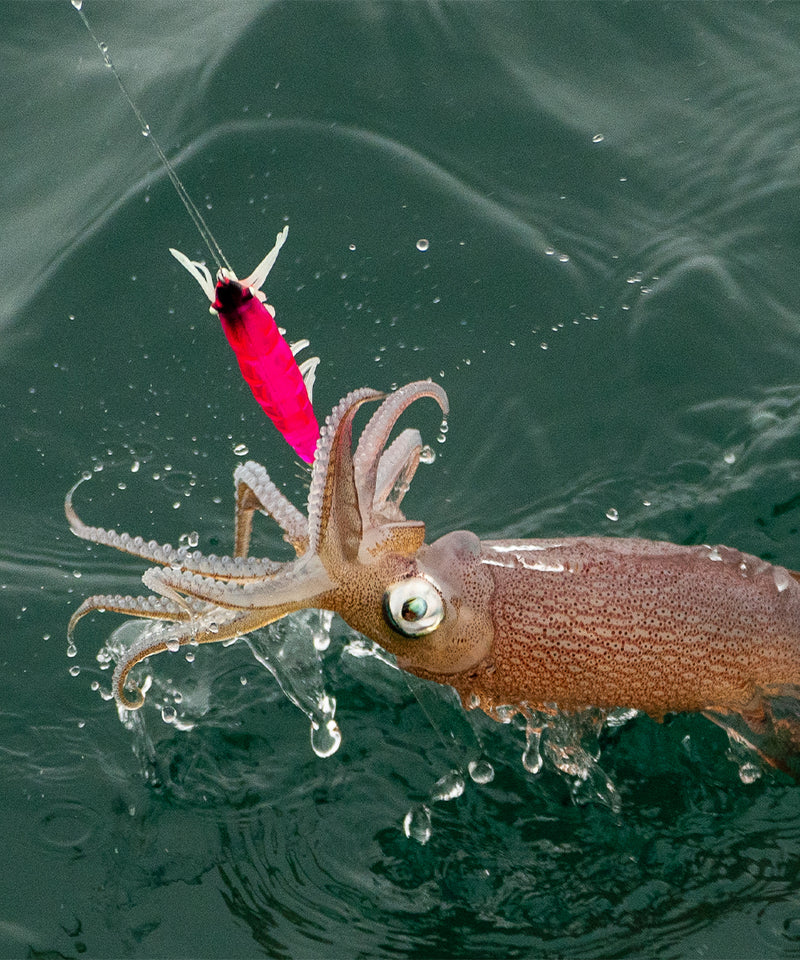 Hogy Premium Squid Jigs