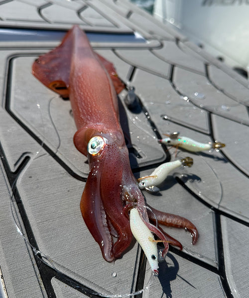 Hogy Premium Squid Jigs