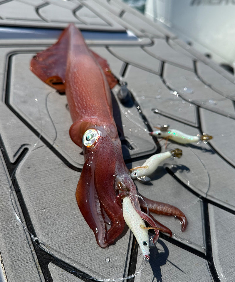 Hogy Premium Squid Jigs