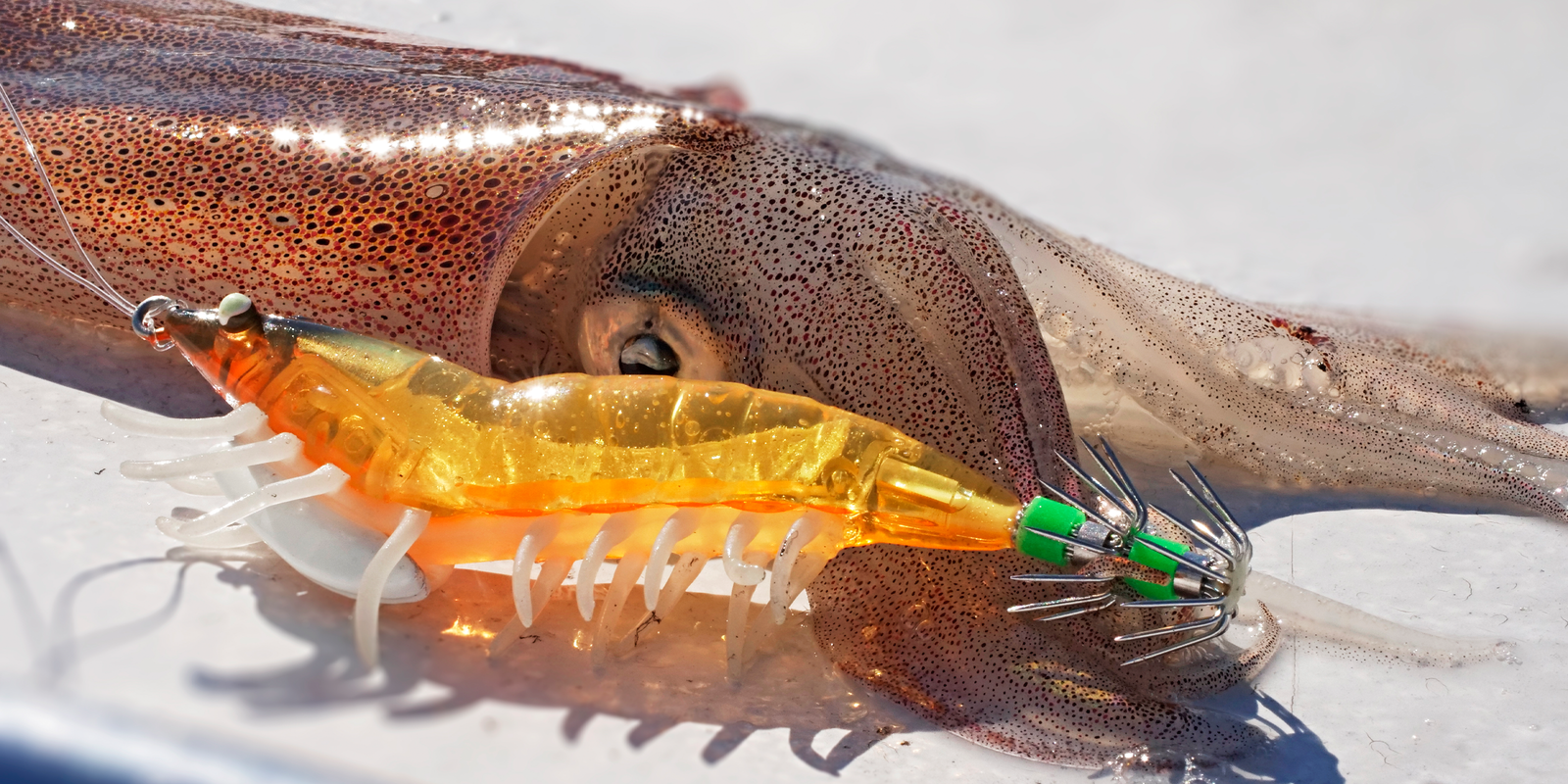 Charter Grade Squid Jigs