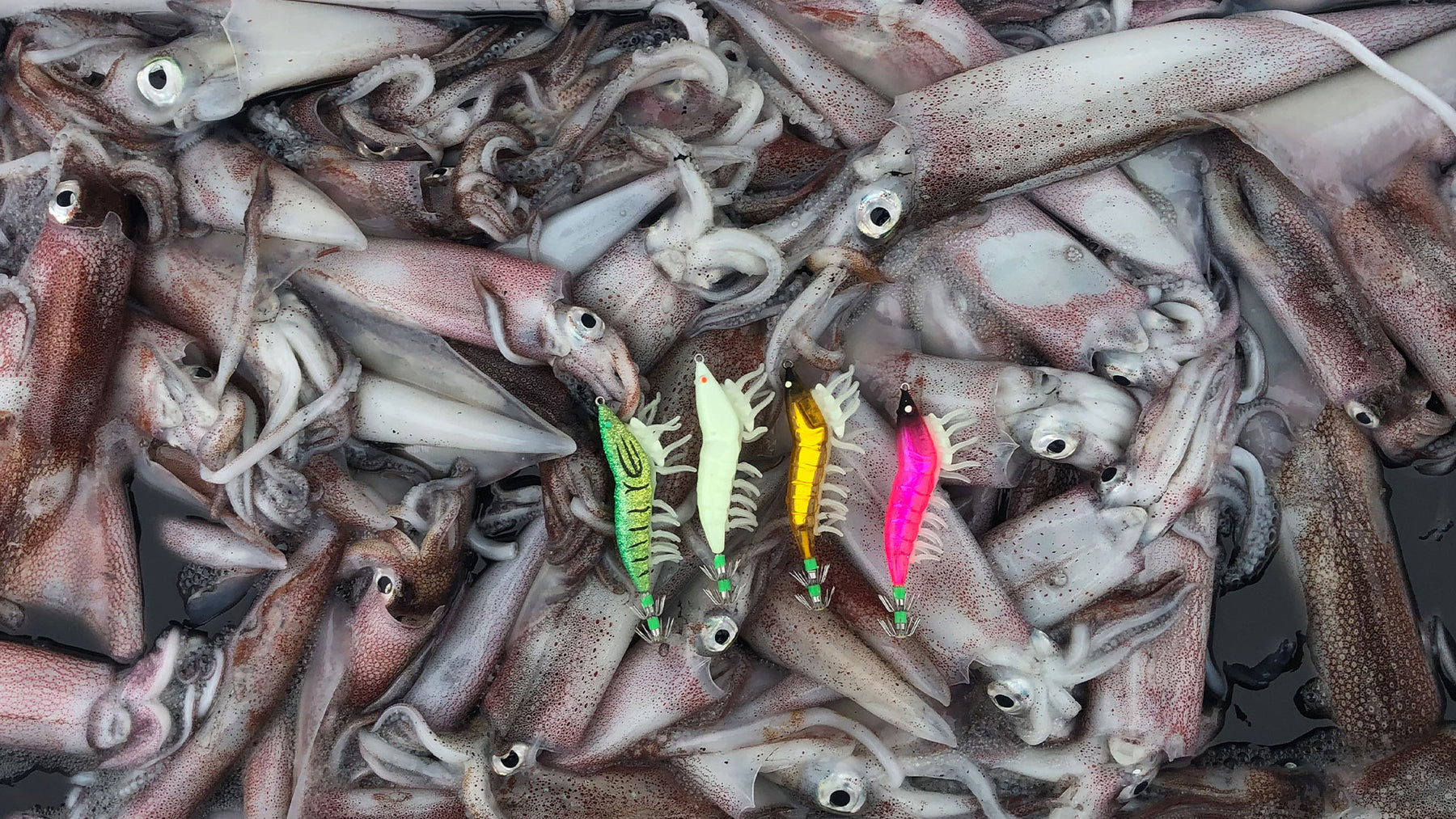 Charter Grade Squid Jigs
