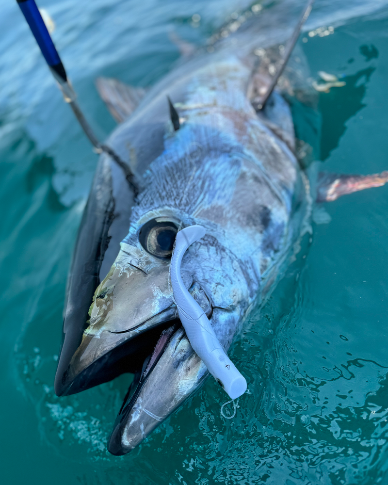Hogy Lure Company Online Store